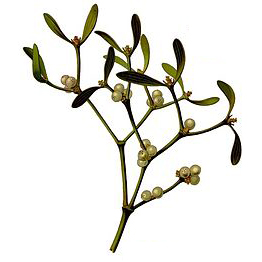 Imelo biele - ADIEL.SK